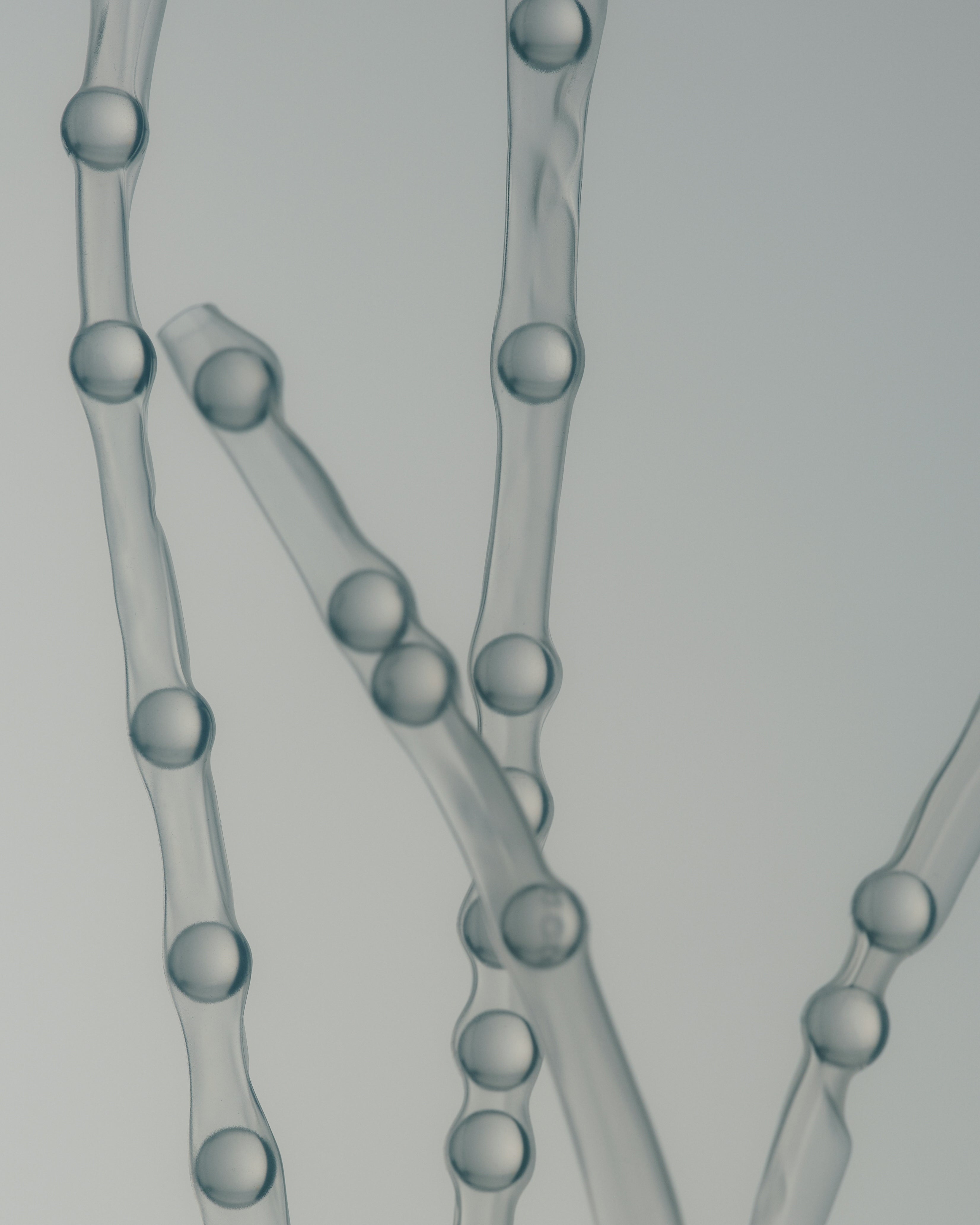 A Look at Bio-Materials and Their Transformative Potential – Breeth